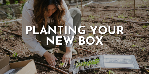 Planting Your New Box – Leaf'd Box