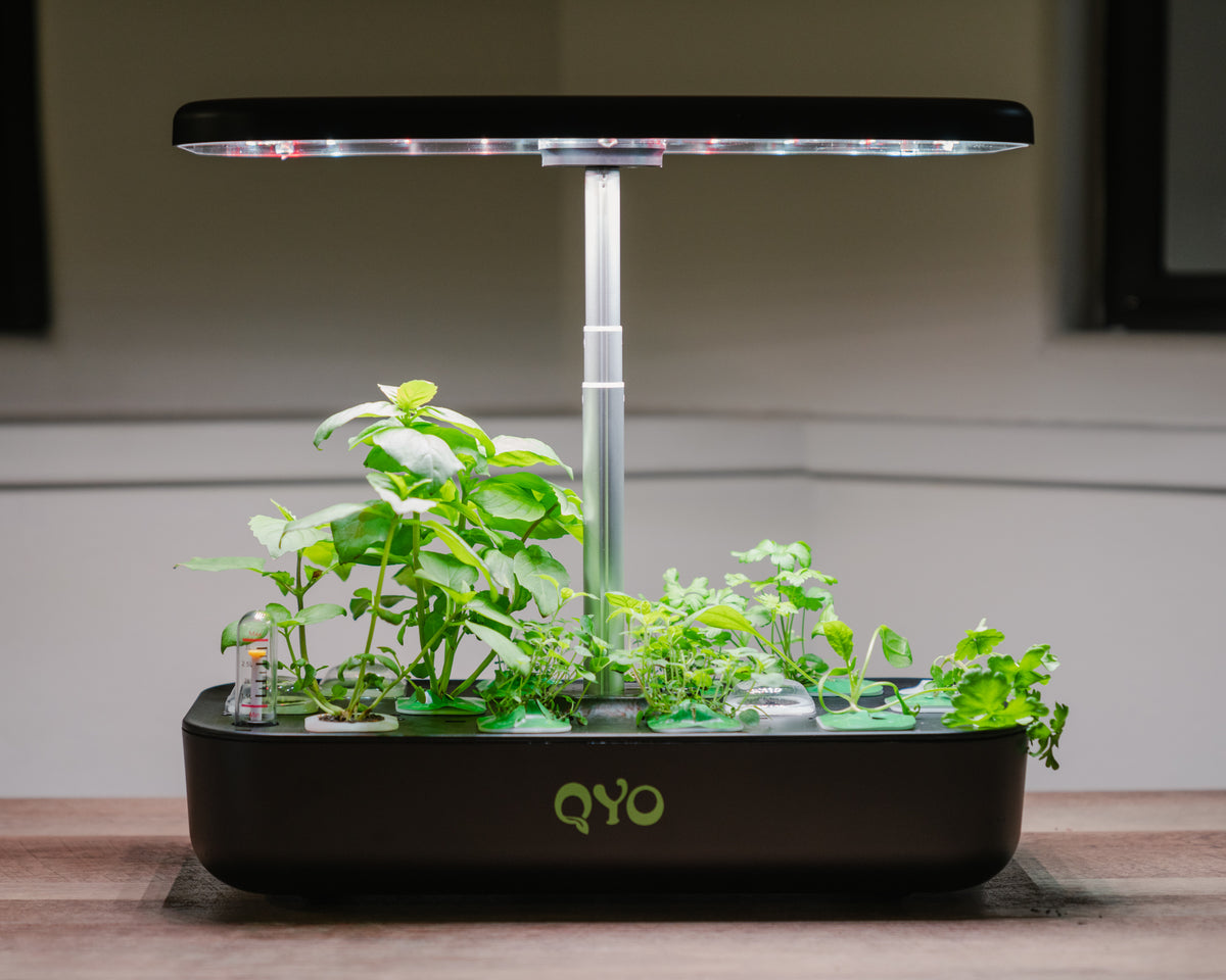 Mini Hydroponic Education Kit – Leaf'd Box