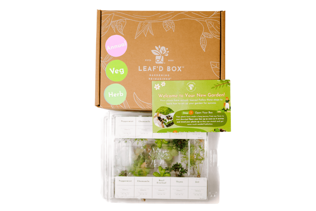 Garden Bed Refill (Region 1) – Leaf'd Box