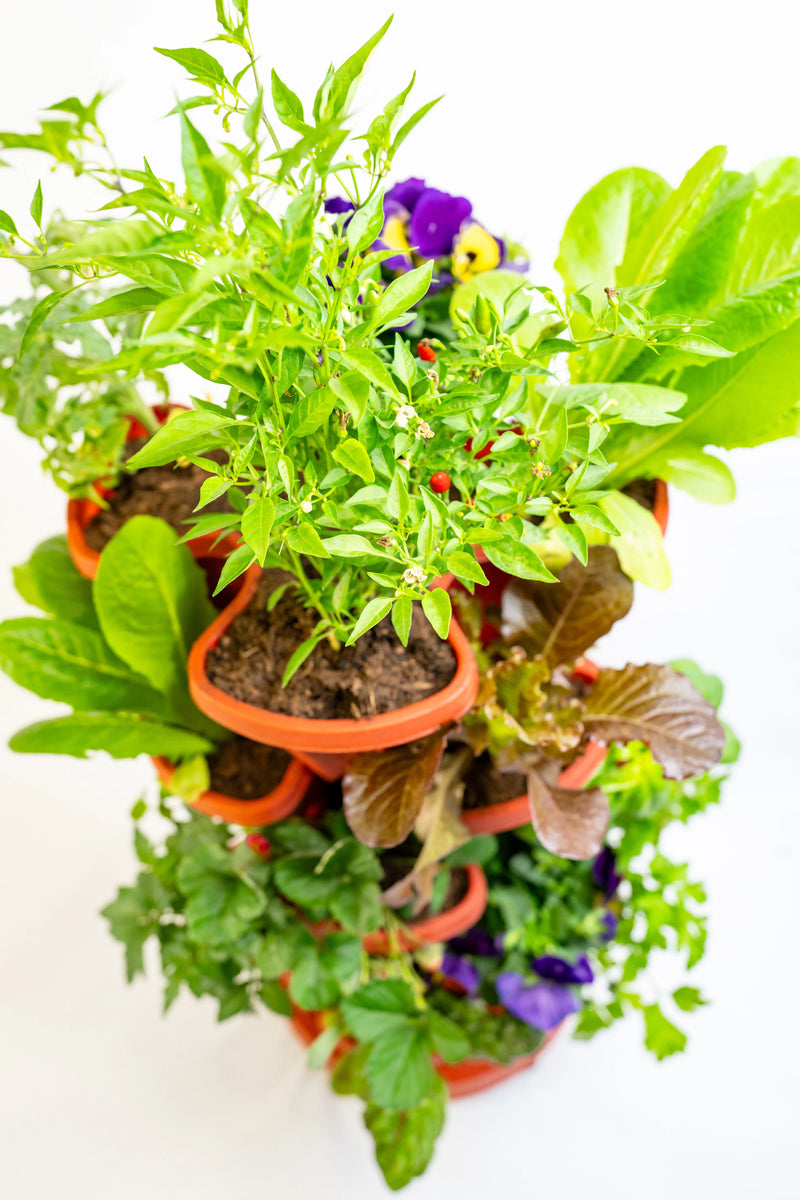 Stackable Planter Garden Kit – Leaf'd Box