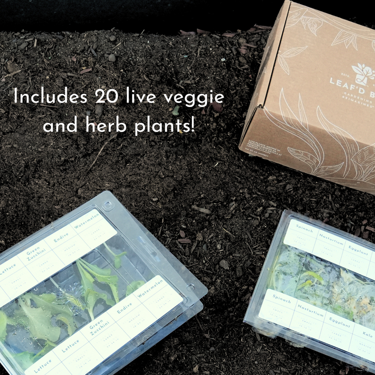 Oval Garden Bed with Plantlings – Leaf'd Box