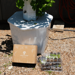 Outdoor Hydroponic Tower Plant Refill (Region 1) – Leaf'd Box